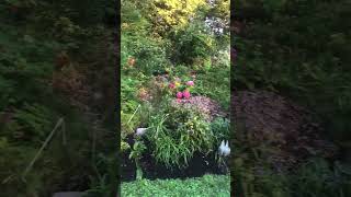 Fountain Garden Planted in Nashua, NH
