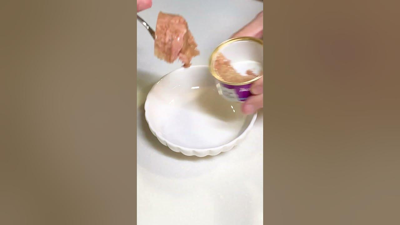 アタス キャット ソウルスーパーフード ライトミートツナwithキヌア 80g - YouTube