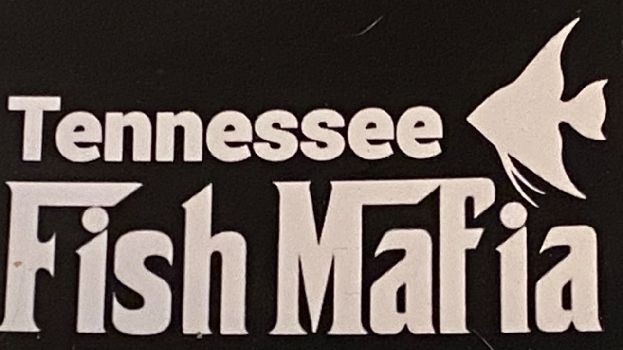 WHAT’S NEXT? | TENNESSEE FISH MAFIA - YouTube