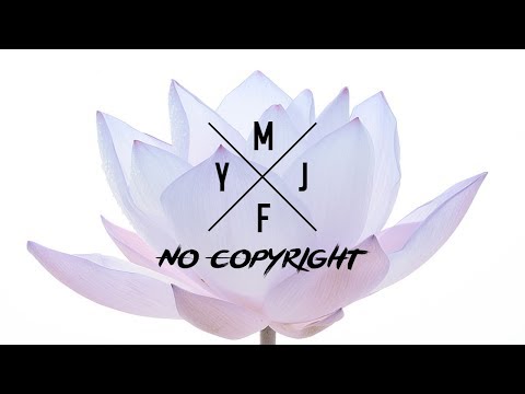 Jorm - Lotus [No Copyright Music]