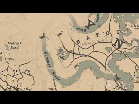 RDR 2: Exotics Prep Part II - Herons, Egrets and Gator Eggs - YouTube