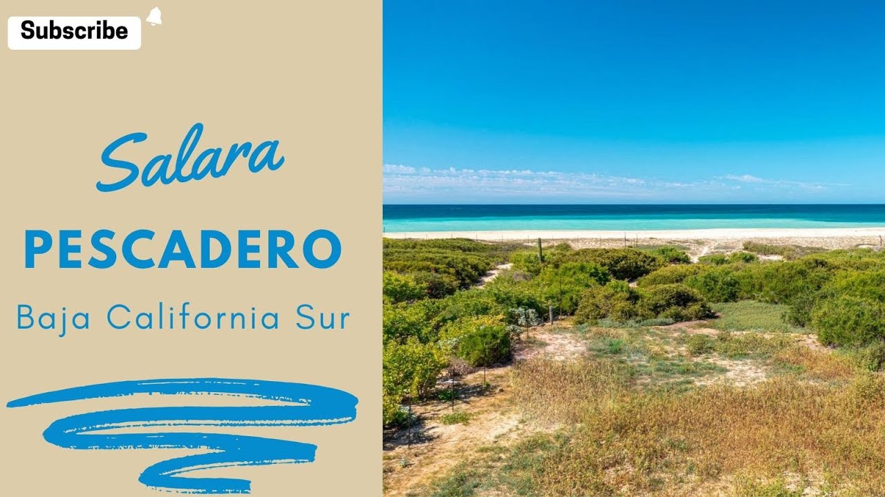 Salara Pescadero, the new development that combine luxury and a farm ...