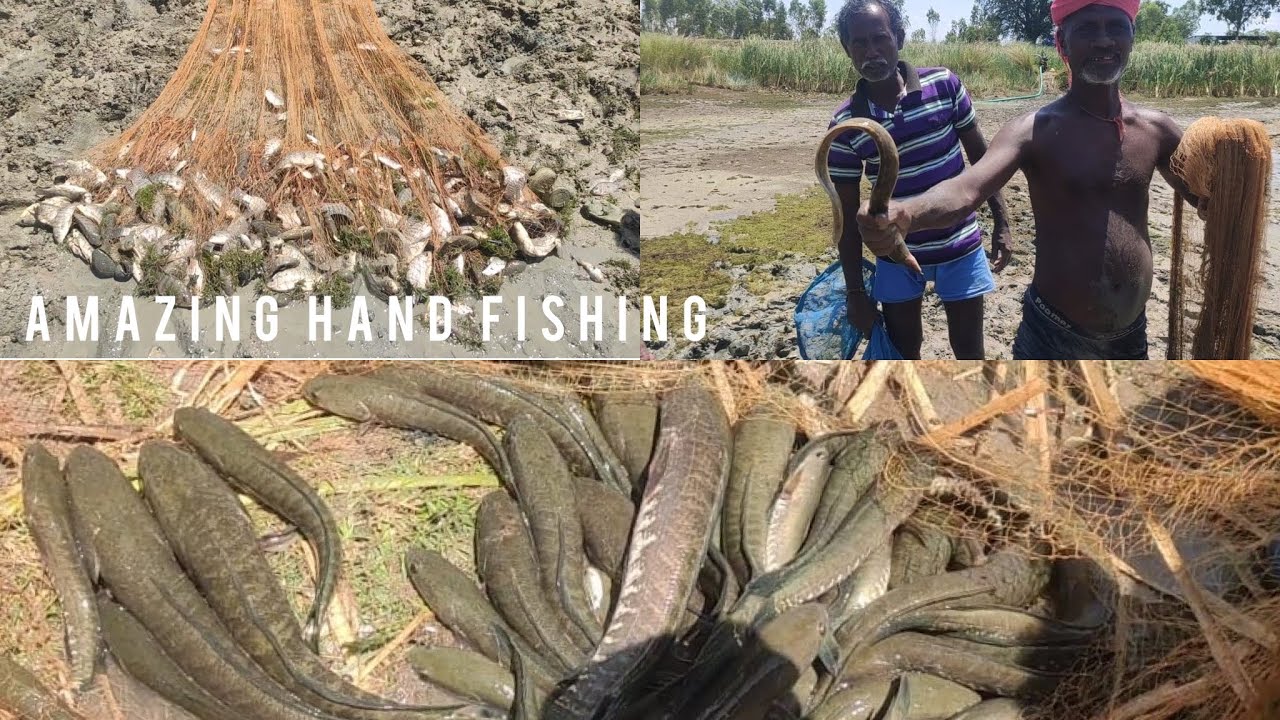Amazing Hand Fishing Video | Traditional Catching Fish By Hand in Pond ...