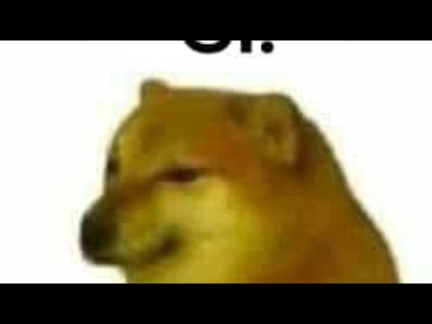 What you looking for || meme || inspire @LaSenioritaAbe - YouTube