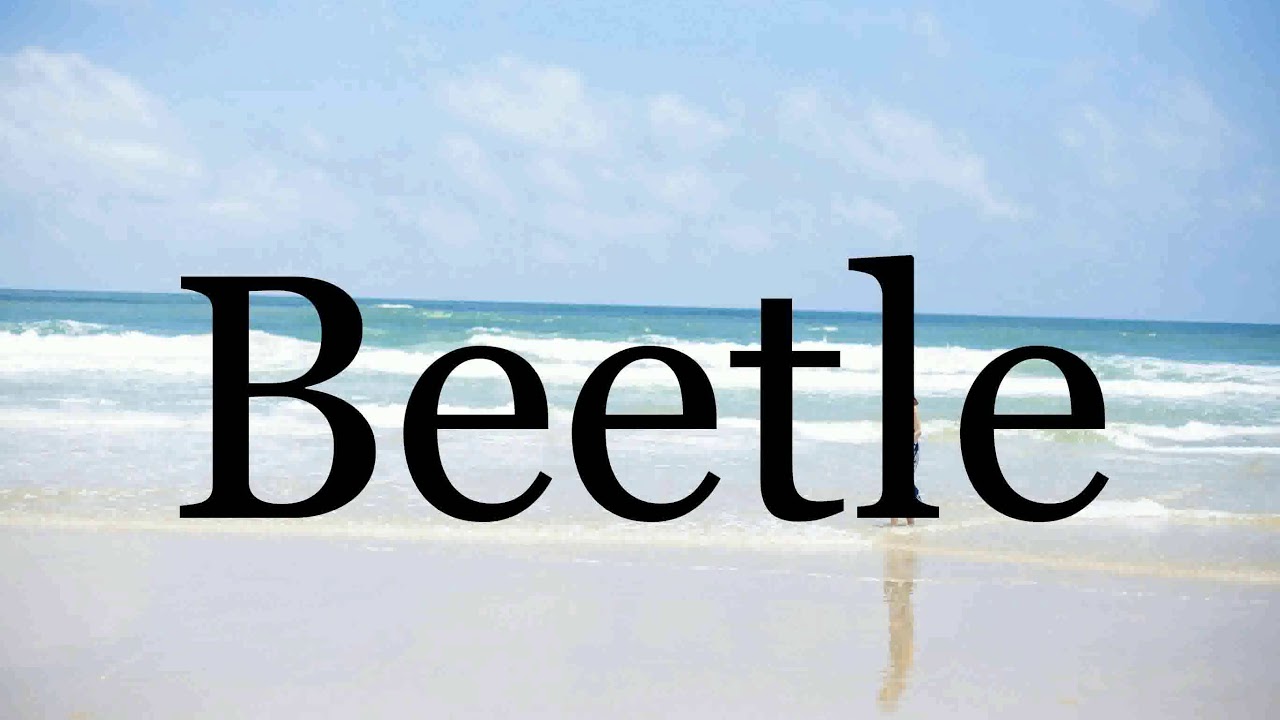 How To Pronounce Beetle🌈🌈🌈🌈🌈🌈Pronunciation Of Beetle - YouTube