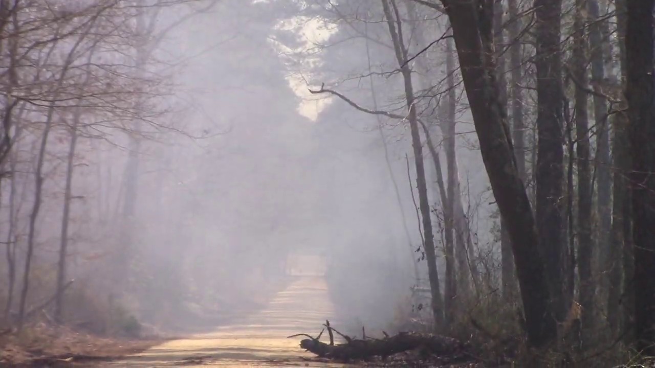 Sasquatch Wild Fire / Devastation (part 2) / NJ / 4.11.20 - YouTube