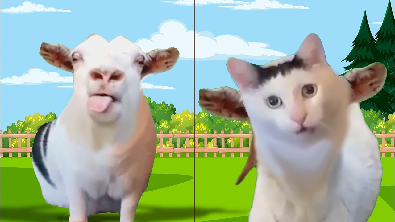 Huh Cat meme vs Goat Meme - YouTube