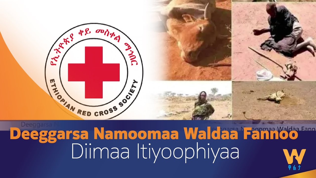 Deeggarsa Namoomaa Waldaa Fannoo Diimaa Itiyoophiyaa - YouTube