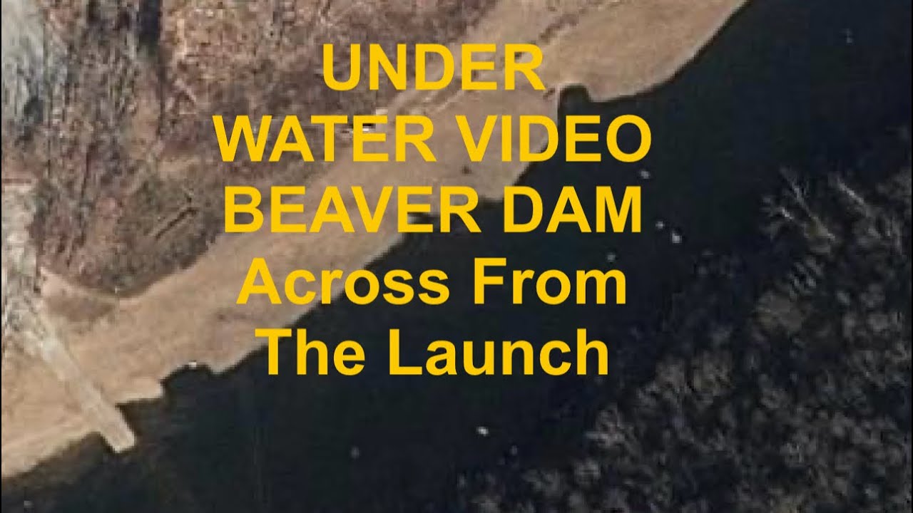 BEAVER DAM ACCESS - Underwater INTEL - YouTube