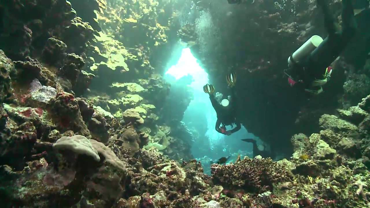 EL MALAHI.mp4 - YouTube