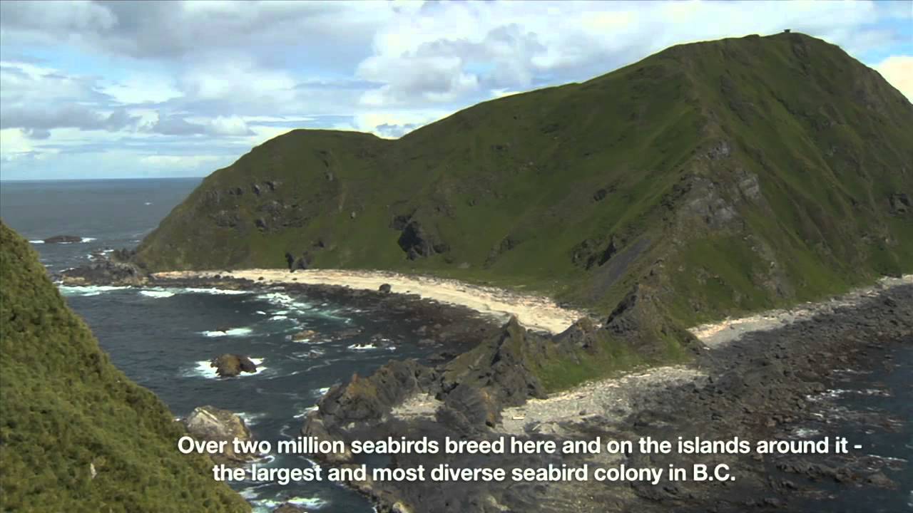 Triangle Island - YouTube