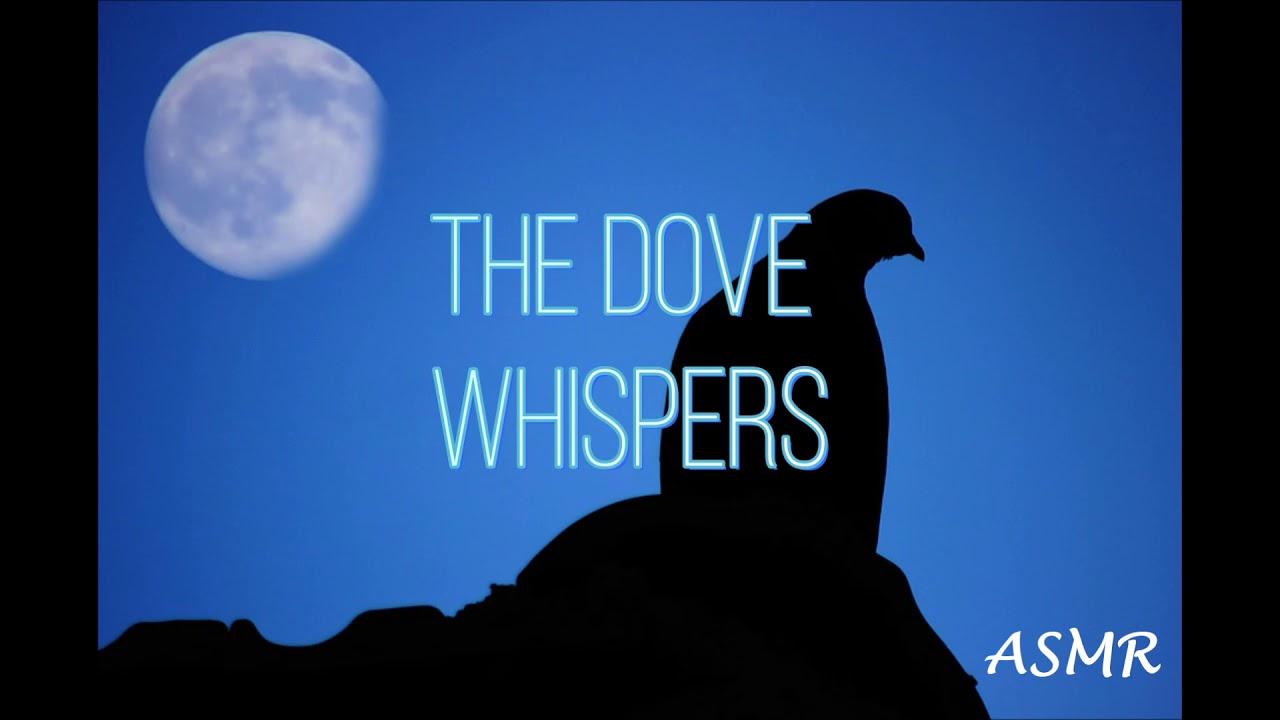 Introducción The Dove Whispers - YouTube