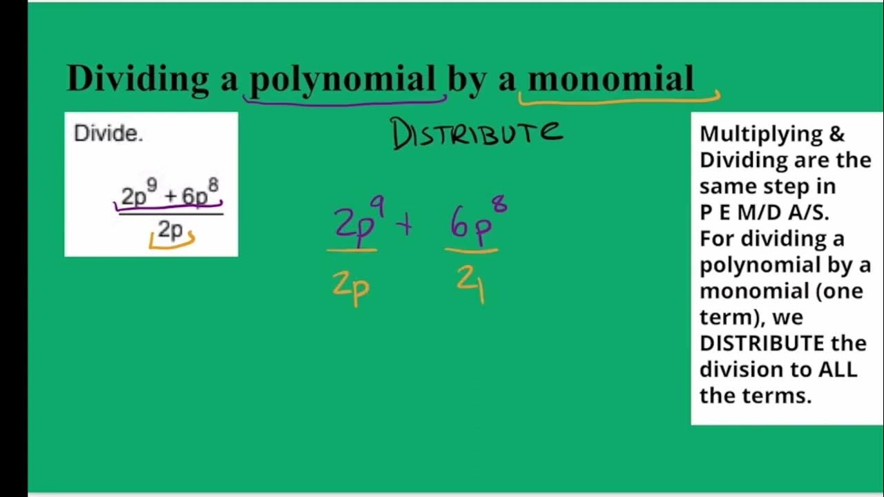 Dividing a polynomial by a monomial - YouTube