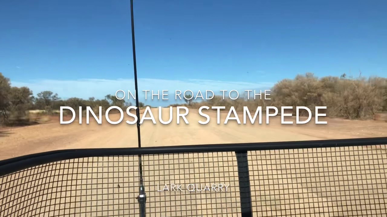 Dinosaur Stampede - YouTube