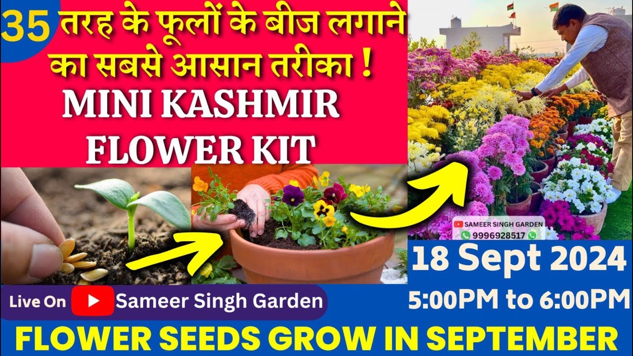 September October || 35 तरह के फूलों के बीज लगाने का सबसे आसान तरीका ...