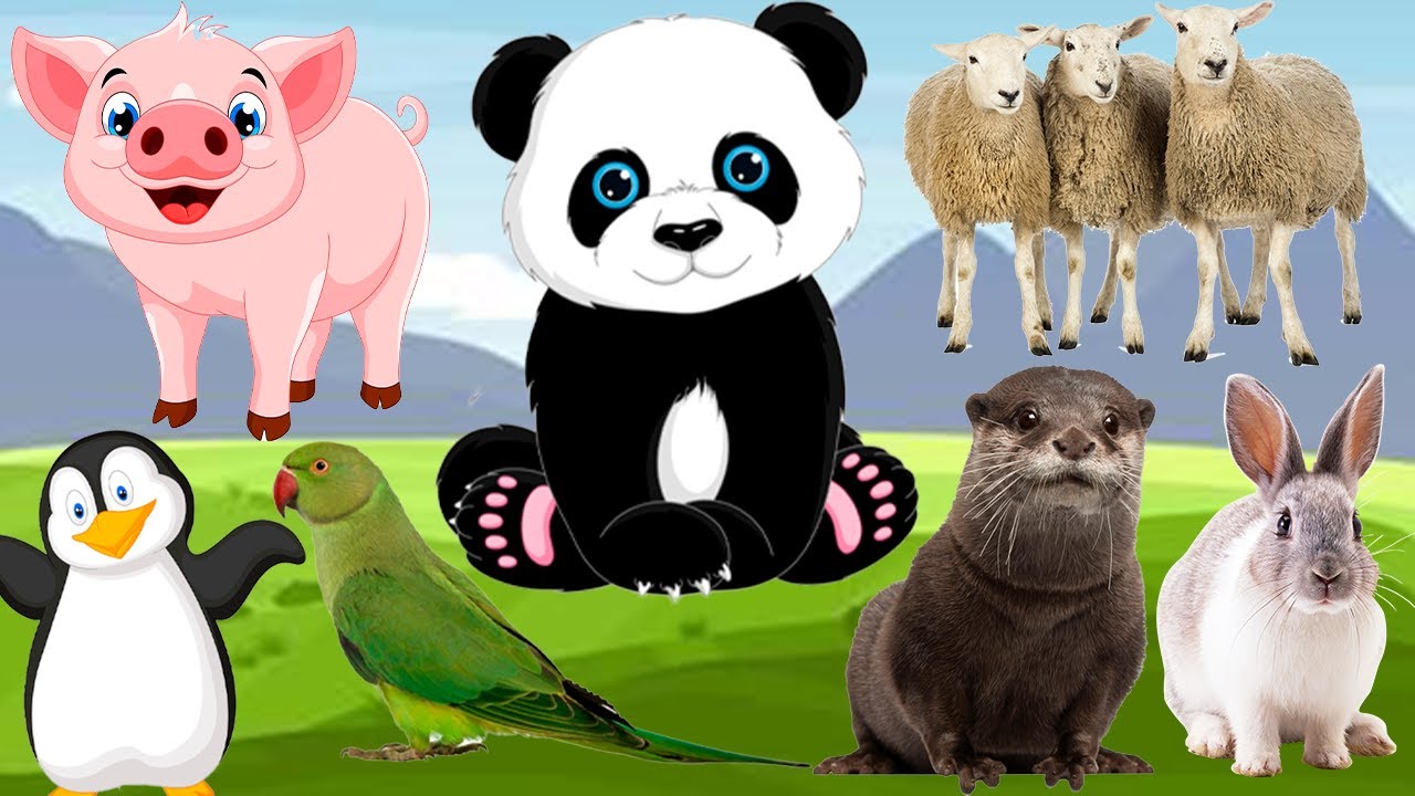 Farm animals funny moments, goat, antelope, cow, cat, eagle, camel ...