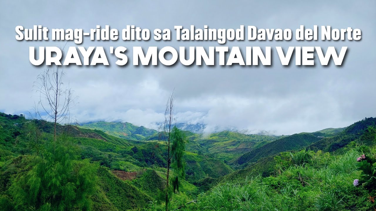 Scenic mountain view in Talaingod, Davao del Norte - May sea of clouds ...