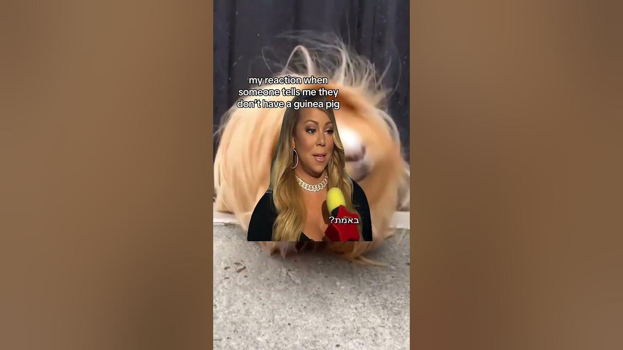 my reaction everytime @cavylove_ - YouTube