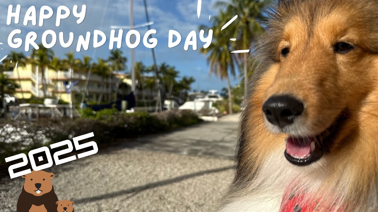 Happy Groundhog Day 2025! Goodbye Florida Keys… - YouTube