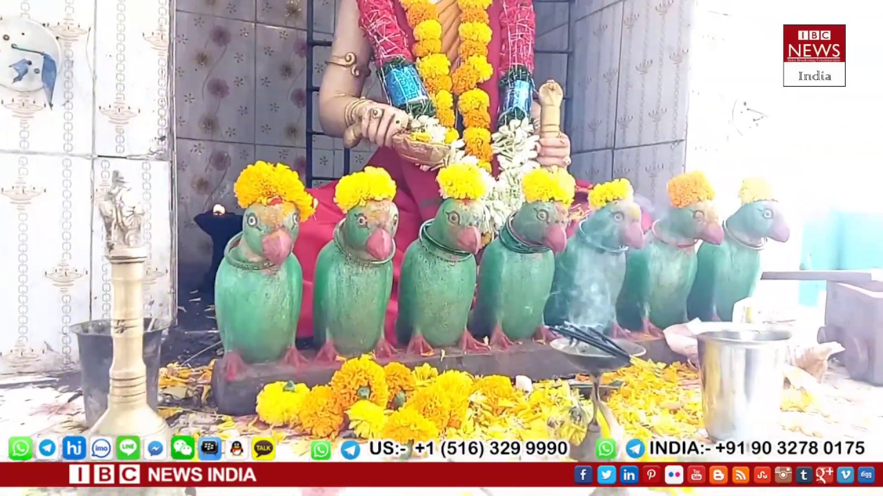 7 parrots story ¦¦ శ్రీ శ్రీ సన్నగొండ అక్కమ్మ స్వామి దేవాలయం కోనేరు ...