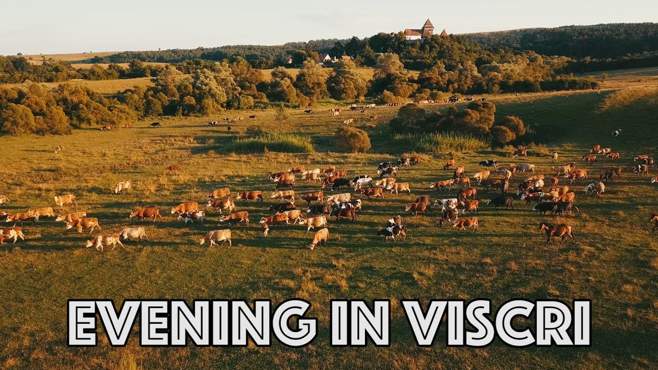 Evening in Viscri - YouTube