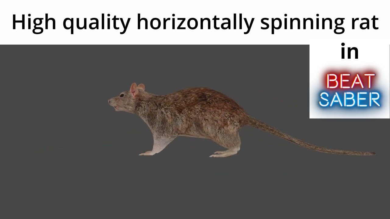 High Quality Horizontally Spinning Rat - Beat Saber - YouTube