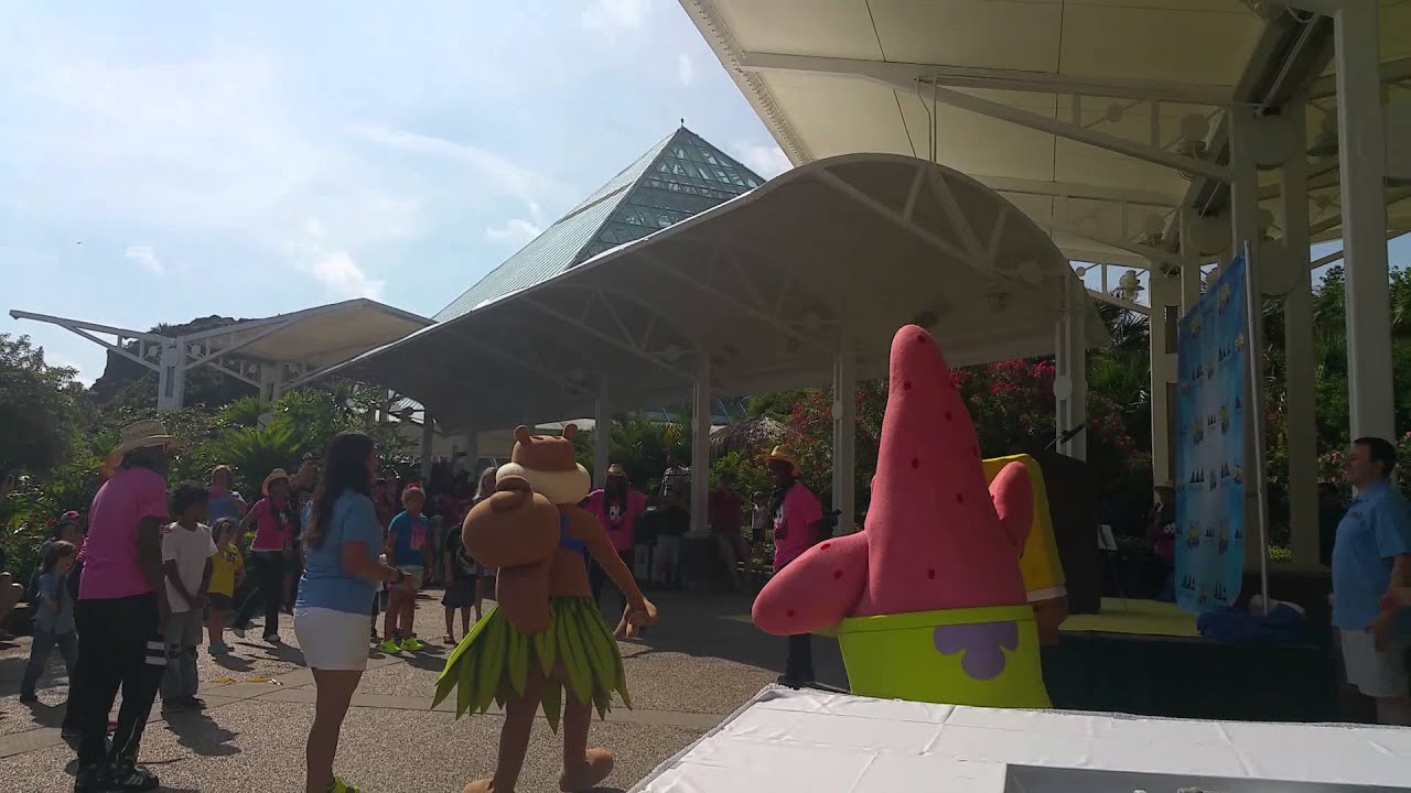 SpongeBob #SubPants Adventure Grand Opening Moody Gardens! - YouTube
