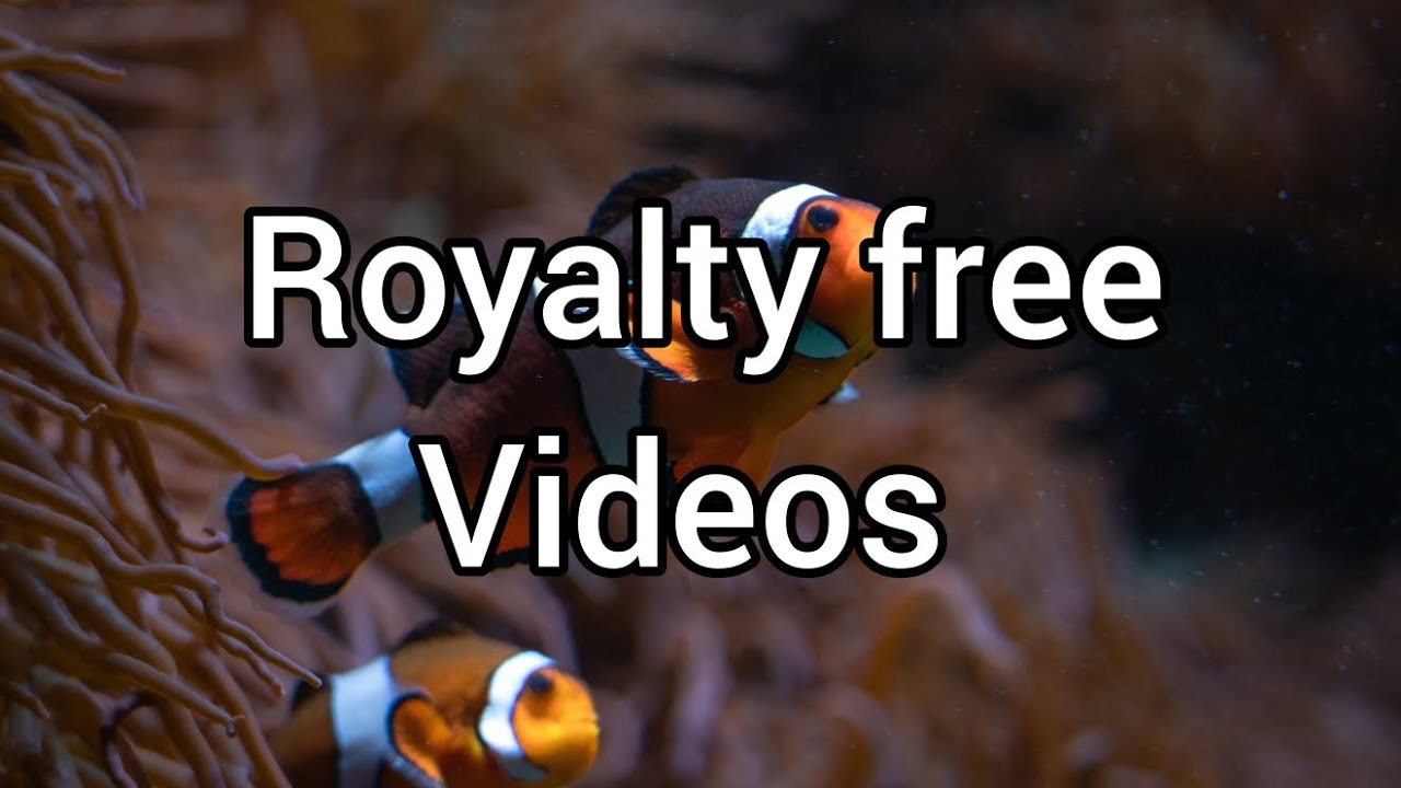 Discover the Power of Royalty-Free and Copyright-Free Videos - YouTube ...