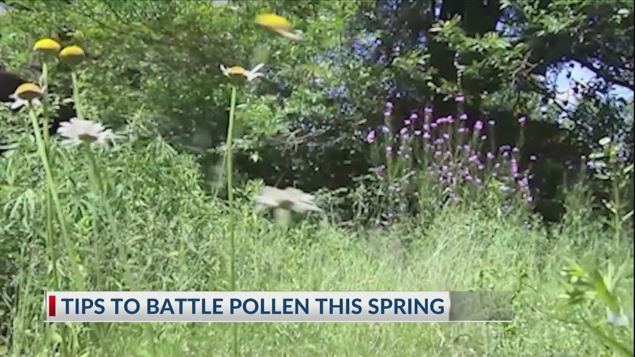 Allergy Nightmare: Georgia sees record breaking pollen counts - YouTube