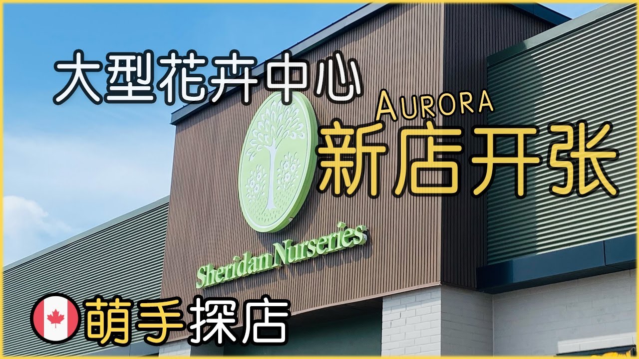 🇨🇦著名花卉店位于Aurora的新店开张｜Sheridan Nurseries｜Grand Opening in Aurora - YouTube