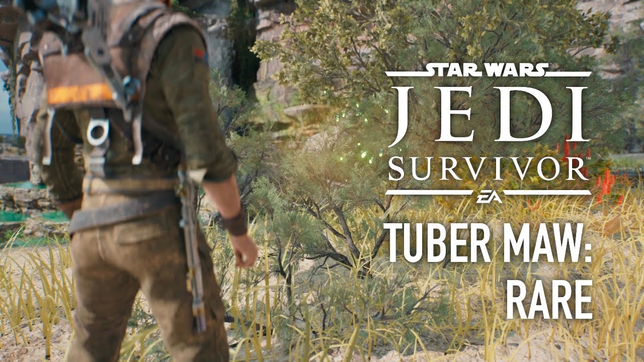 STAR WARS Jedi: Survivor - Tuber Maw: Rare - Seed Pods - YouTube