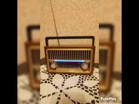 Nişan üzüyü.Əhməd Cəmil
