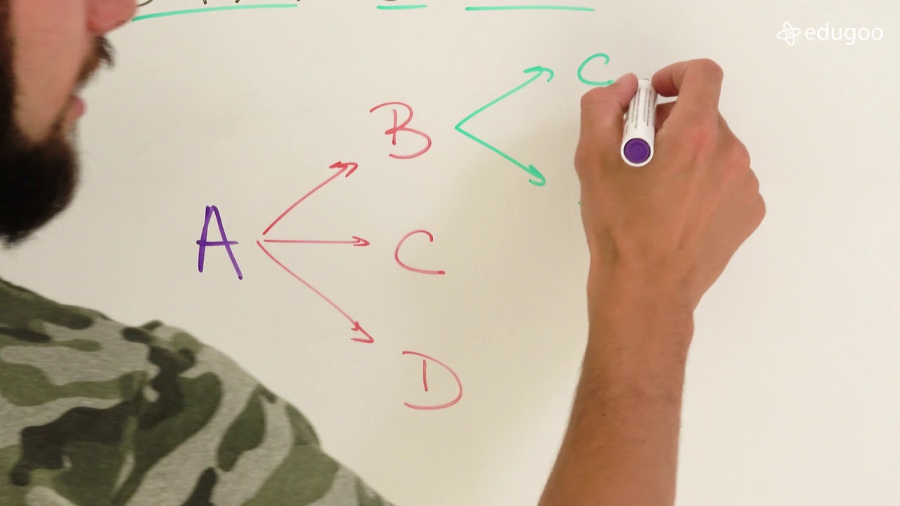 Matemática - Secundaria: Conteo - DIAGRAMA DE ÁRBOL - YouTube