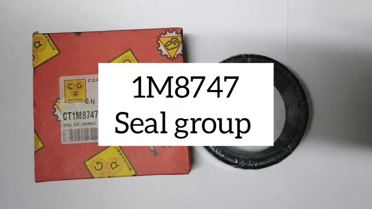 1M8747 - SEAL GROUP 9W6647 0R5931 8E8338 9S3522 9W7219 for Caterpillar ...