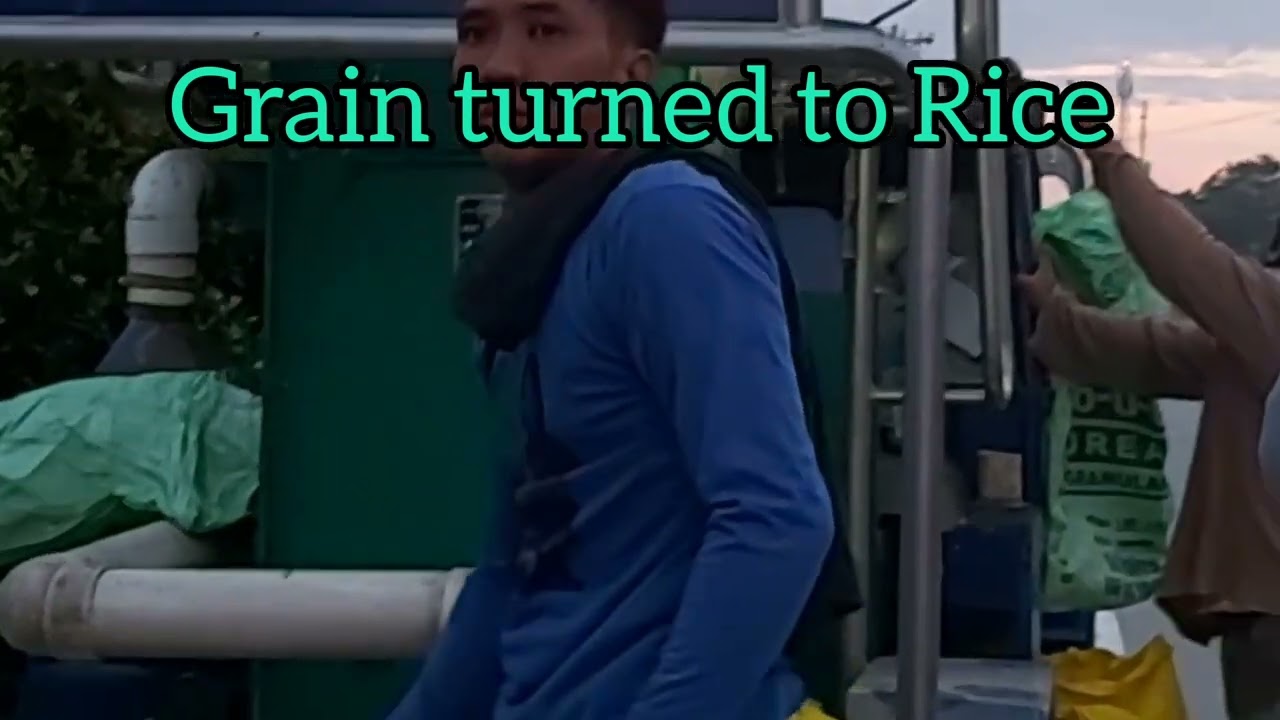 RICE MILLING PROCESS SUCCESSFUL/NUEVA ECIJA PHILIPPINES - YouTube