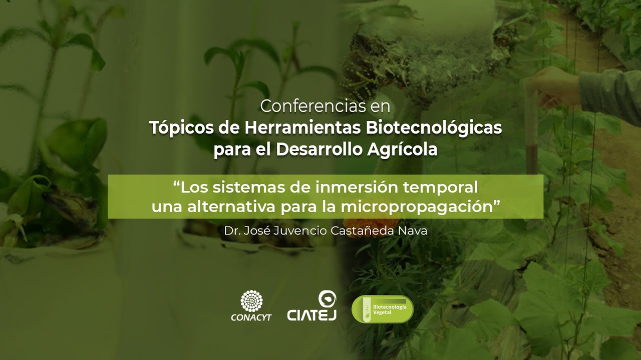 Los Sistemas de Inmersión Temporal una Alternativa para la ...