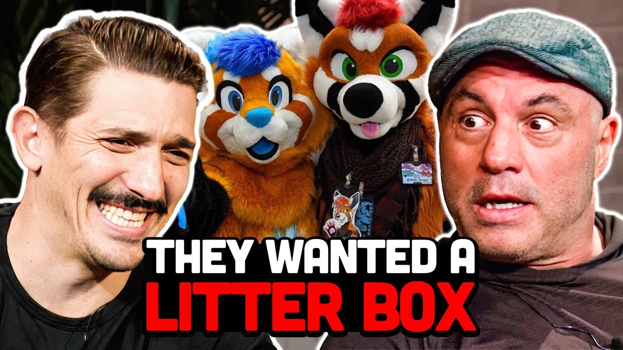 Joe Rogan's Furry Convention Experience - YouTube