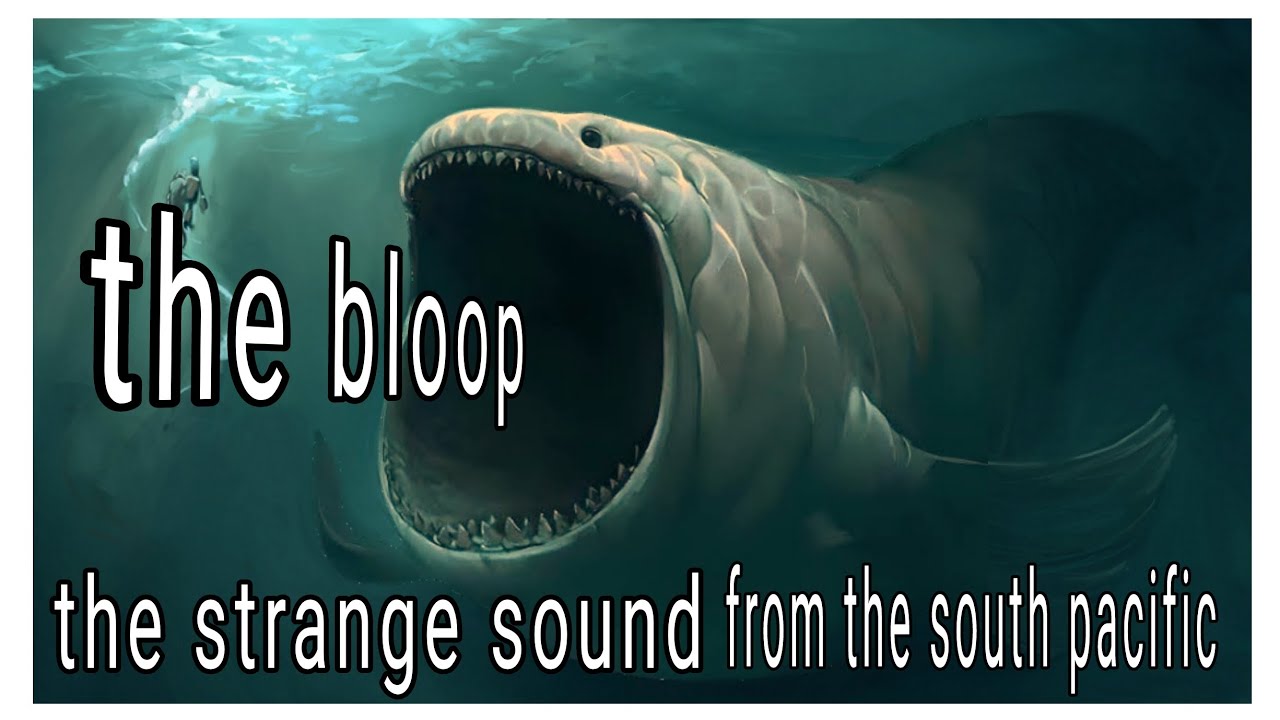 the bloop the strange sound of the peaceful ocean wisdom of this ...