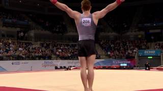 Daniel Purvis Gymnast Profile