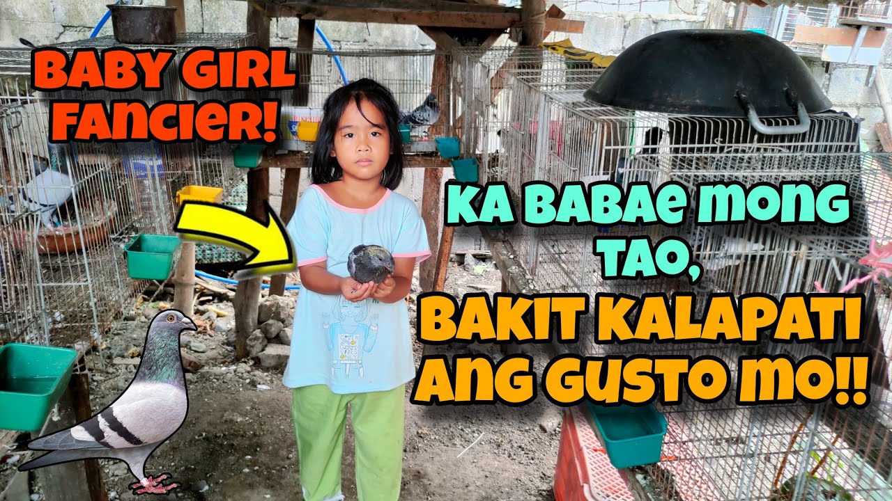 BATANG FANCIER NA BABAE, HILIG ANG PAGKA-KALAPATI!! | KARERA NG KALAPATI - YouTube