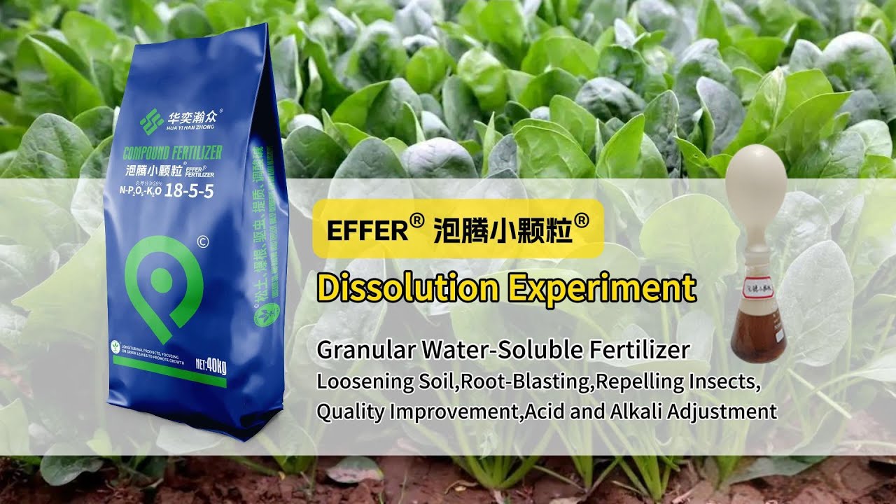 Dissolution Experiment: EFFER Granular Water Soluble Fertilizer.# ...