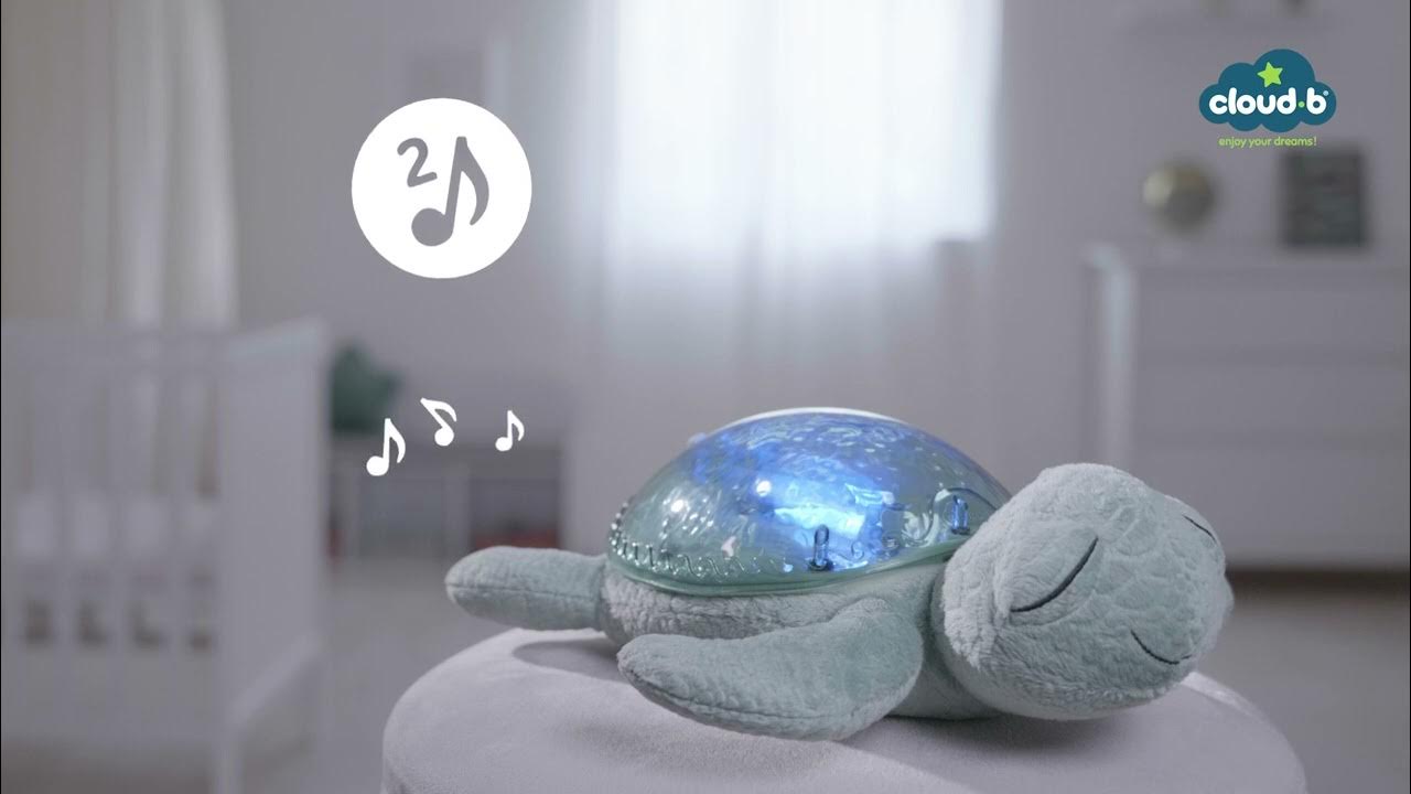 The Tranquil Turtle Demo Video - YouTube