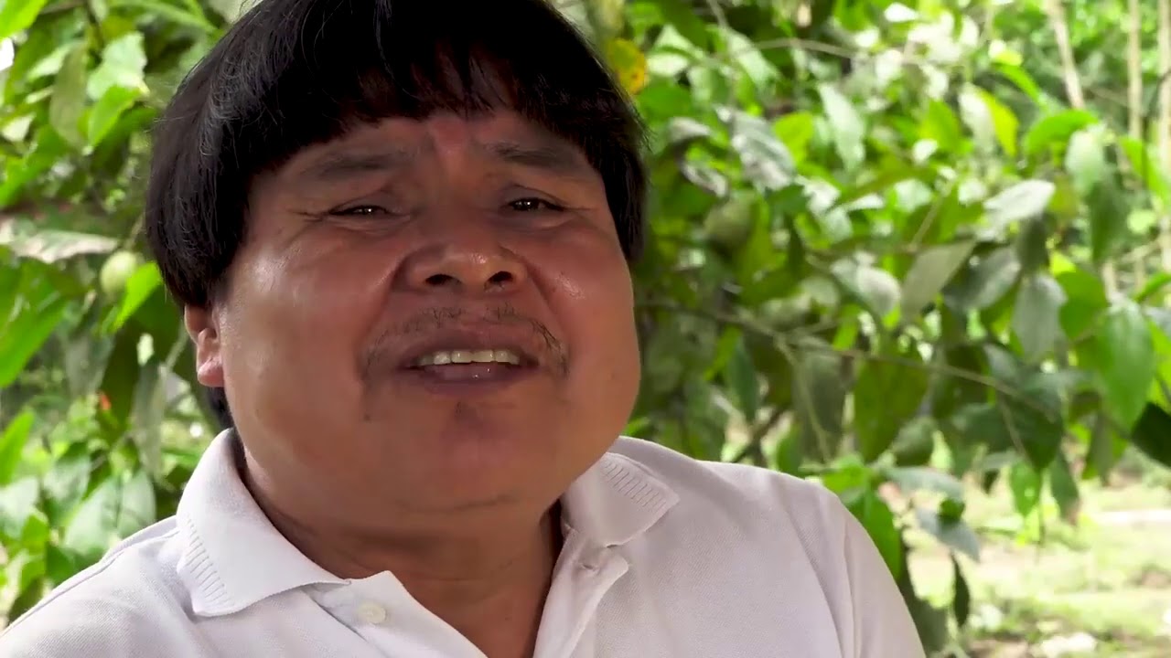 Movimiento Indígena del Chocó 40 años - YouTube