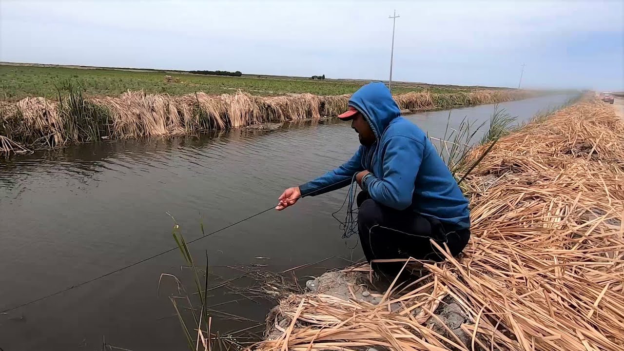 Wow!!.. mira como se Pesca con Atarraya grande - Cast net fishing - YouTube