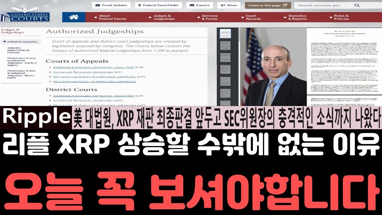 리플전망 리플 Sec위원장의 비리가 폭로되며 Xrp 상승할 수밖에 없는 이유를 공개 오늘 영상은 꼭 보셔야합니다 리플전망