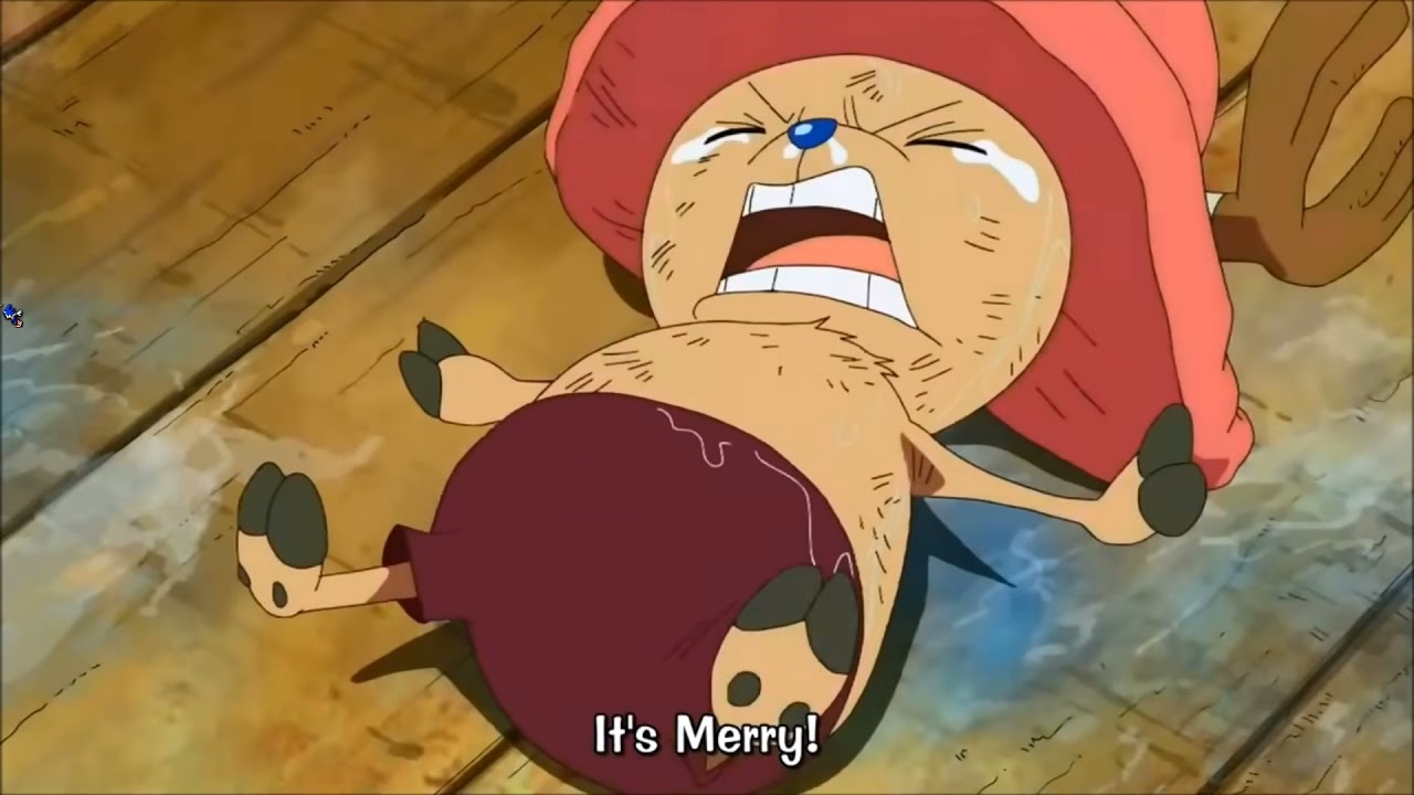 Chopper loves Going Merry - YouTube