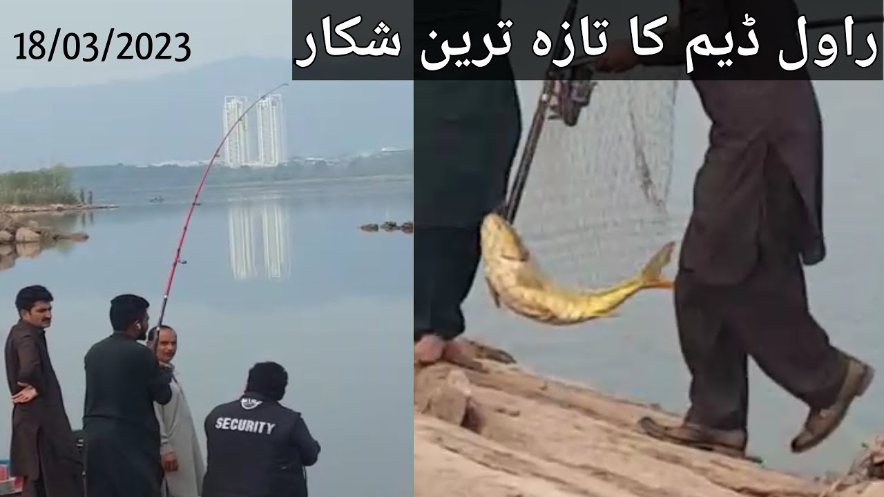 Rawal dam latest fishing update 18/03/2023 | Gulfam fishing | @FISHING ...