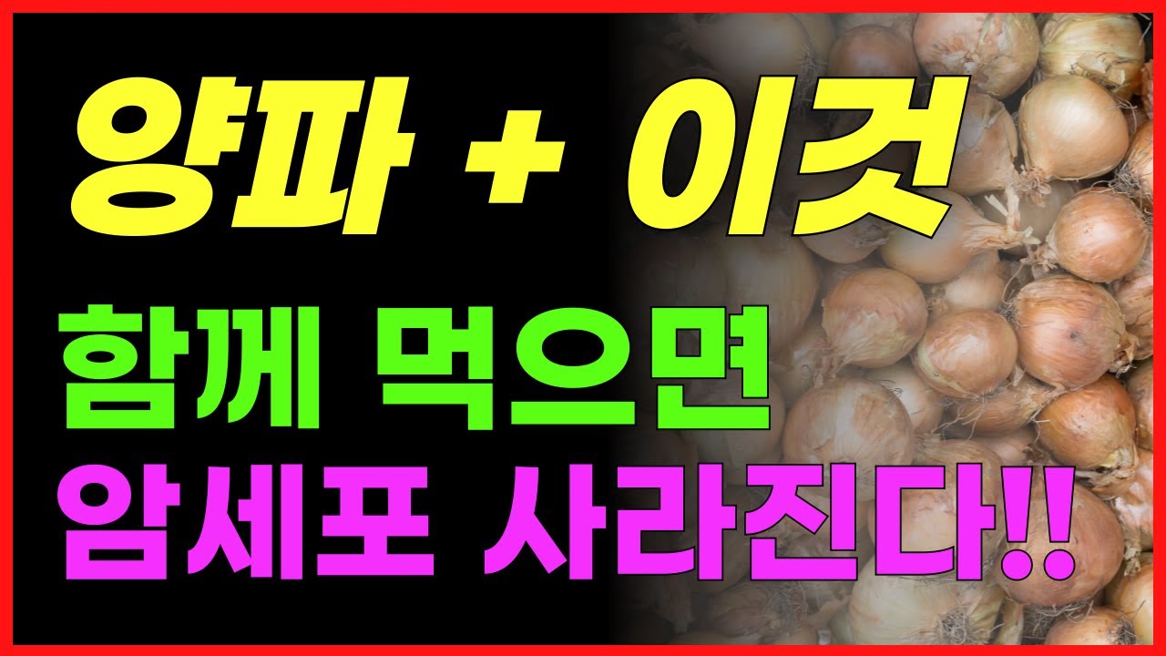 양파 이것과 먹었더니 혈관 깨끗해지고 암세포 사라졌어요 양파와 함께 먹는 최고의 음식 양파의 효능 양파와 절대 안맞는