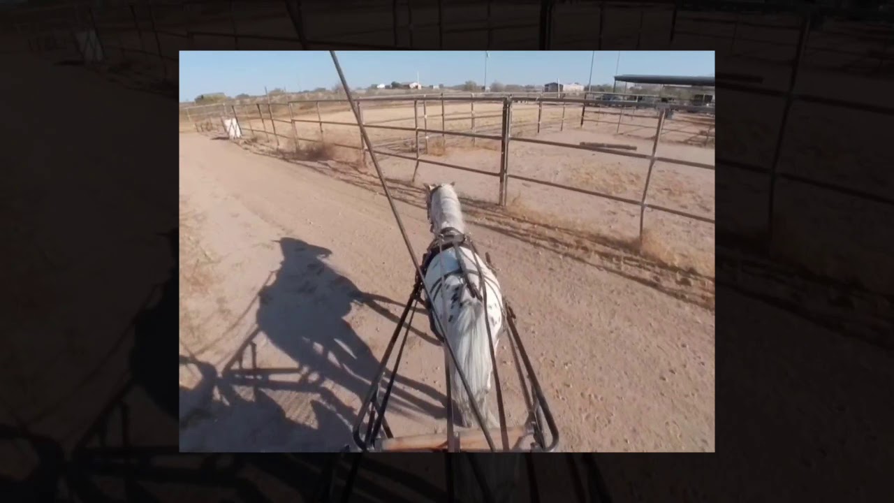 How I Drive through gates in a cart - YouTube