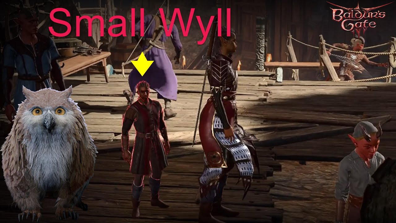 BG3: What if Wyll becomes Smaller before combat practice? - YouTube